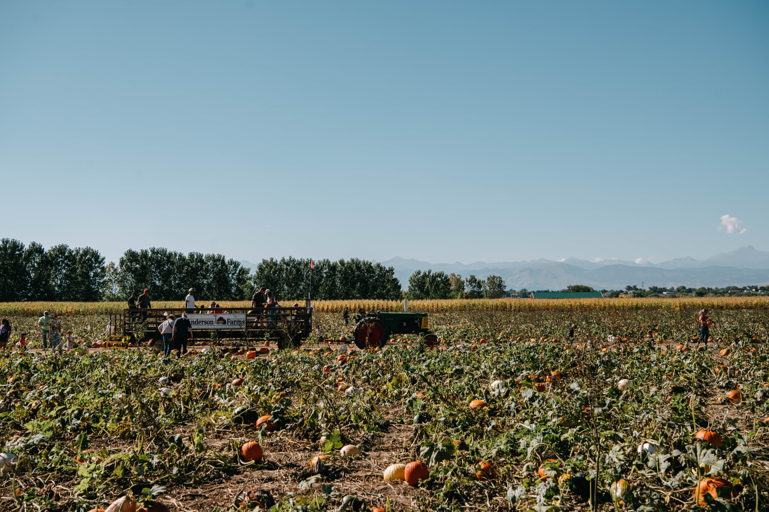 Anderson Farms - Colorado Agritourism Resources